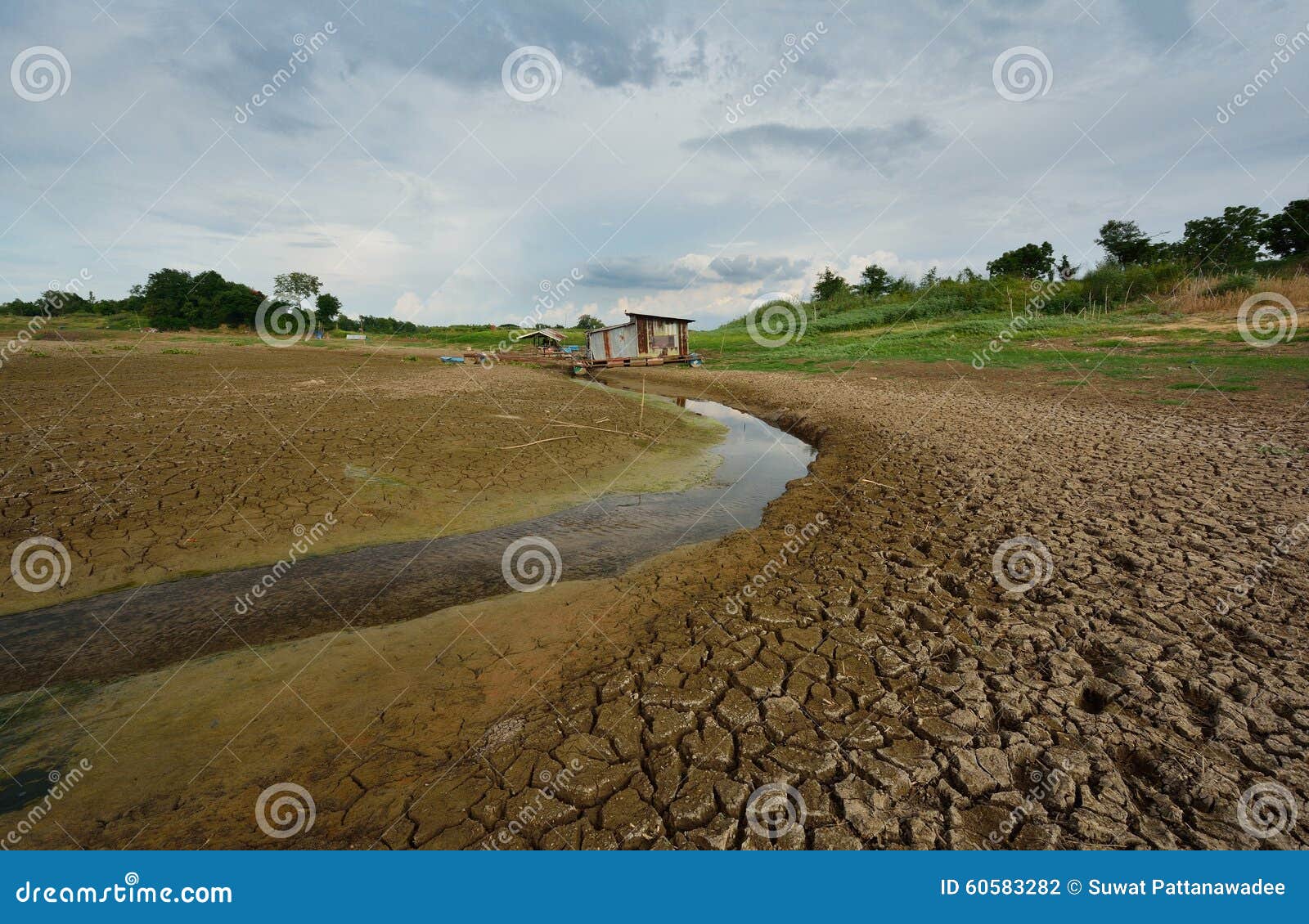 Dry River on Drought Parched Ground. Stock Photo - Image of seedling ...