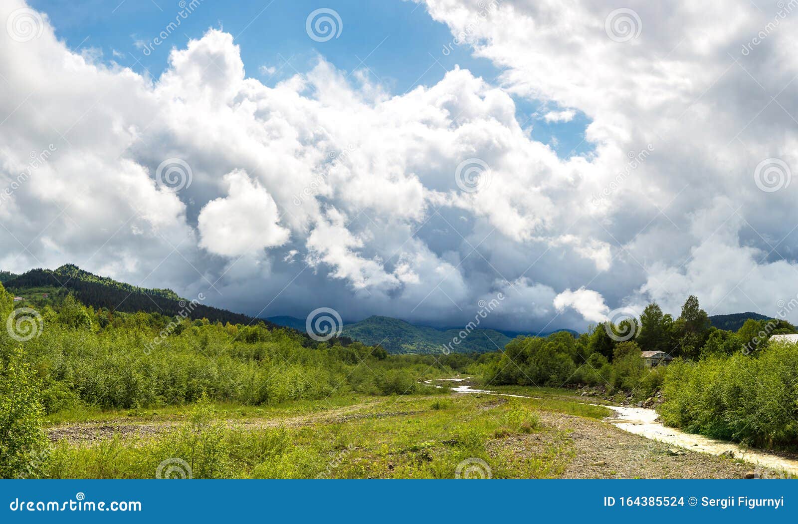Dry river in summer day stock photo. Image of waterless - 164385524