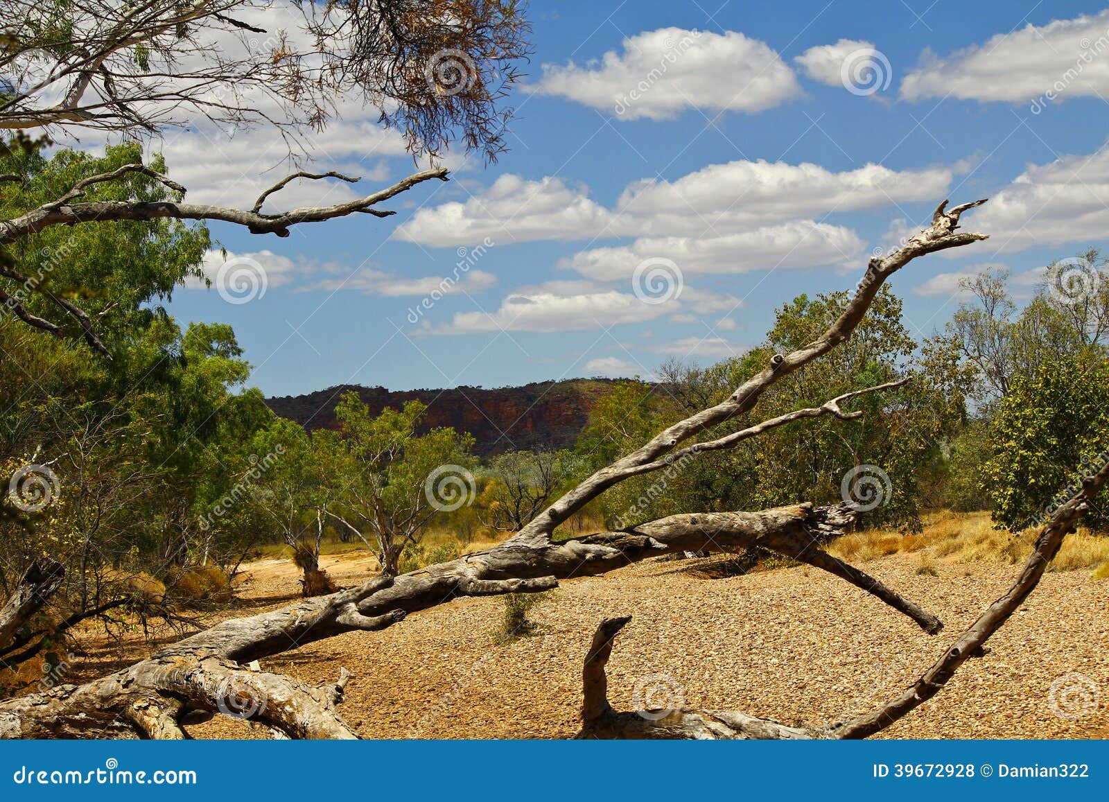 Dry River Valley, Australia Stock Photo - Image of ground, desert: 39672928