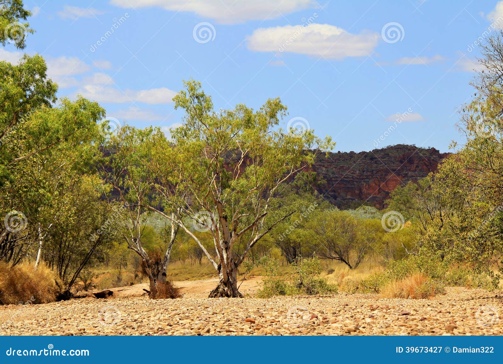 Dry River Valley, Australia Stock Image - Image of range, river: 39673427