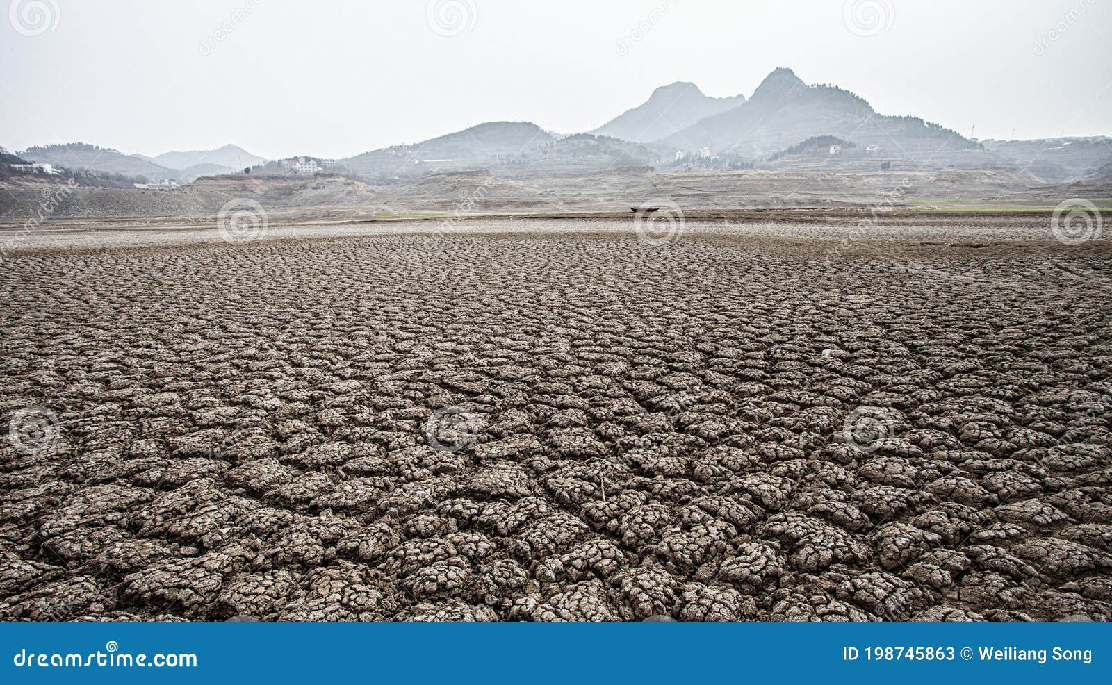 Dry riverbed stock image. Image of riverbed, tree, wooden - 198745863