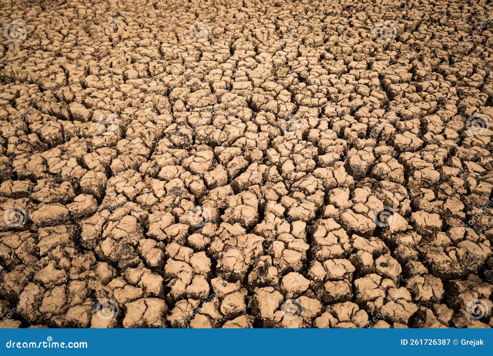 Dry Riverbed with Cracked Mud Stock Image - Image of green, path: 261726387