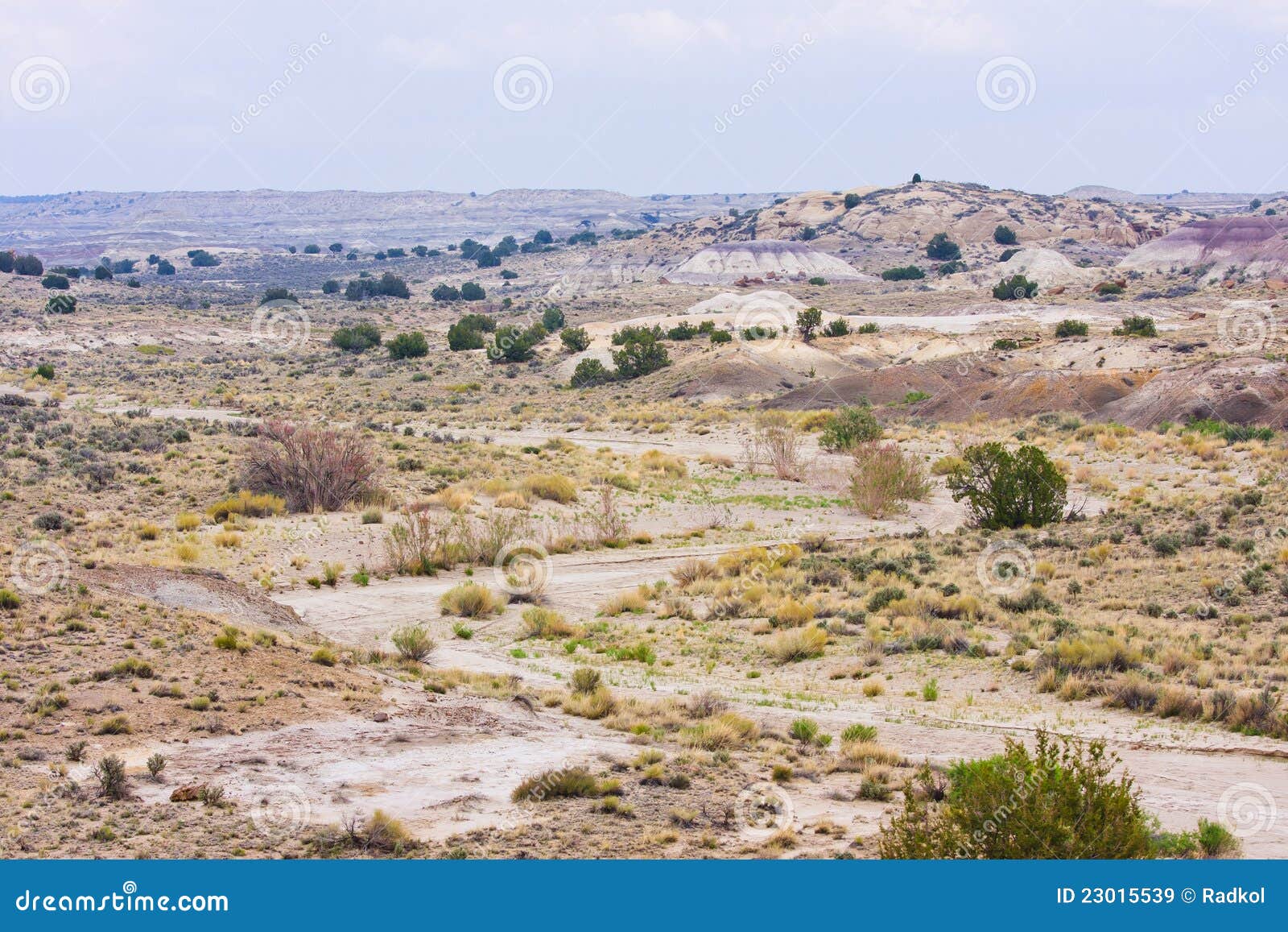 Dry riverbed in a desert stock image. Image of wilderness - 23015539