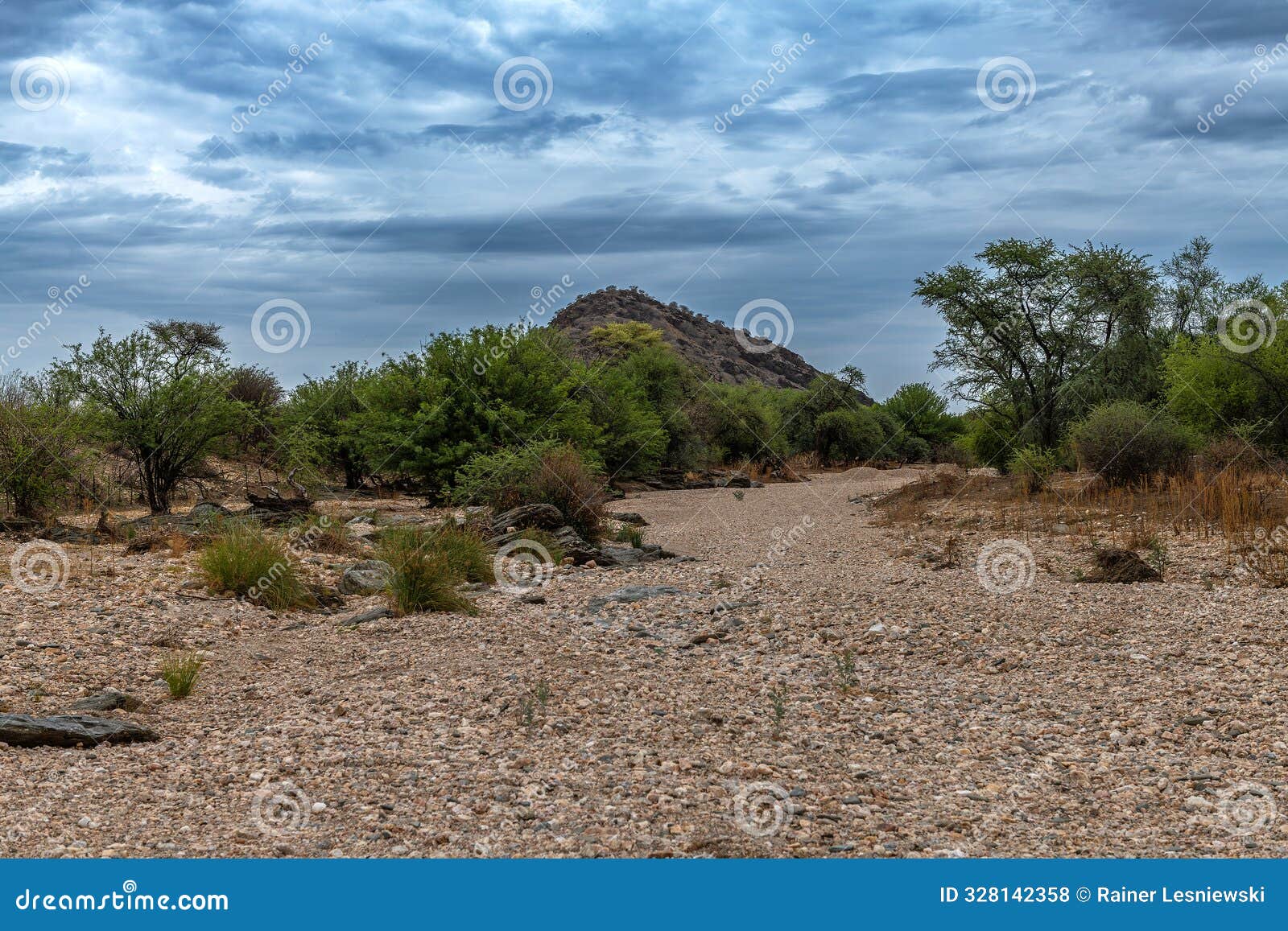 Dry Riverbed of the Dobra River North of Windhoek, Namibia Stock Photo ...