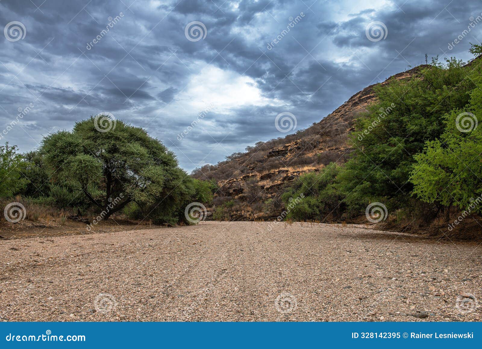 Dry Riverbed of the Dobra River North of Windhoek, Namibia Stock Image ...