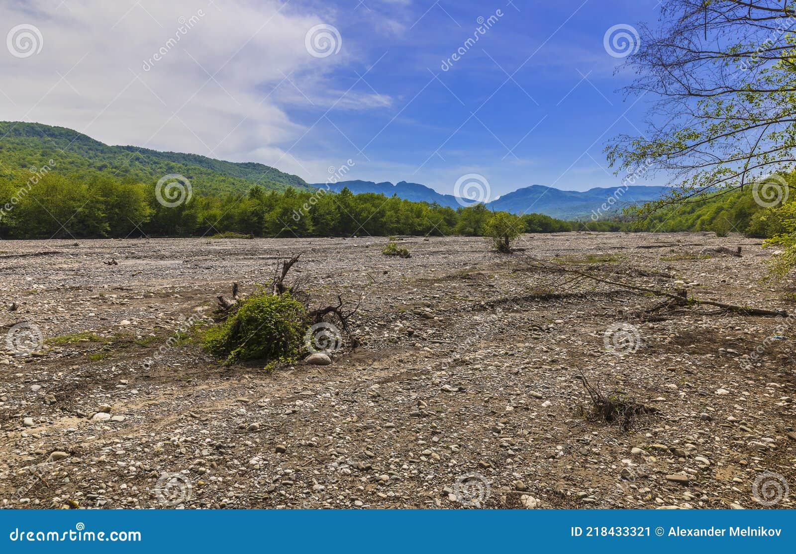 Dry Riverbed in the Mountains in Spring Stock Image - Image of clear ...