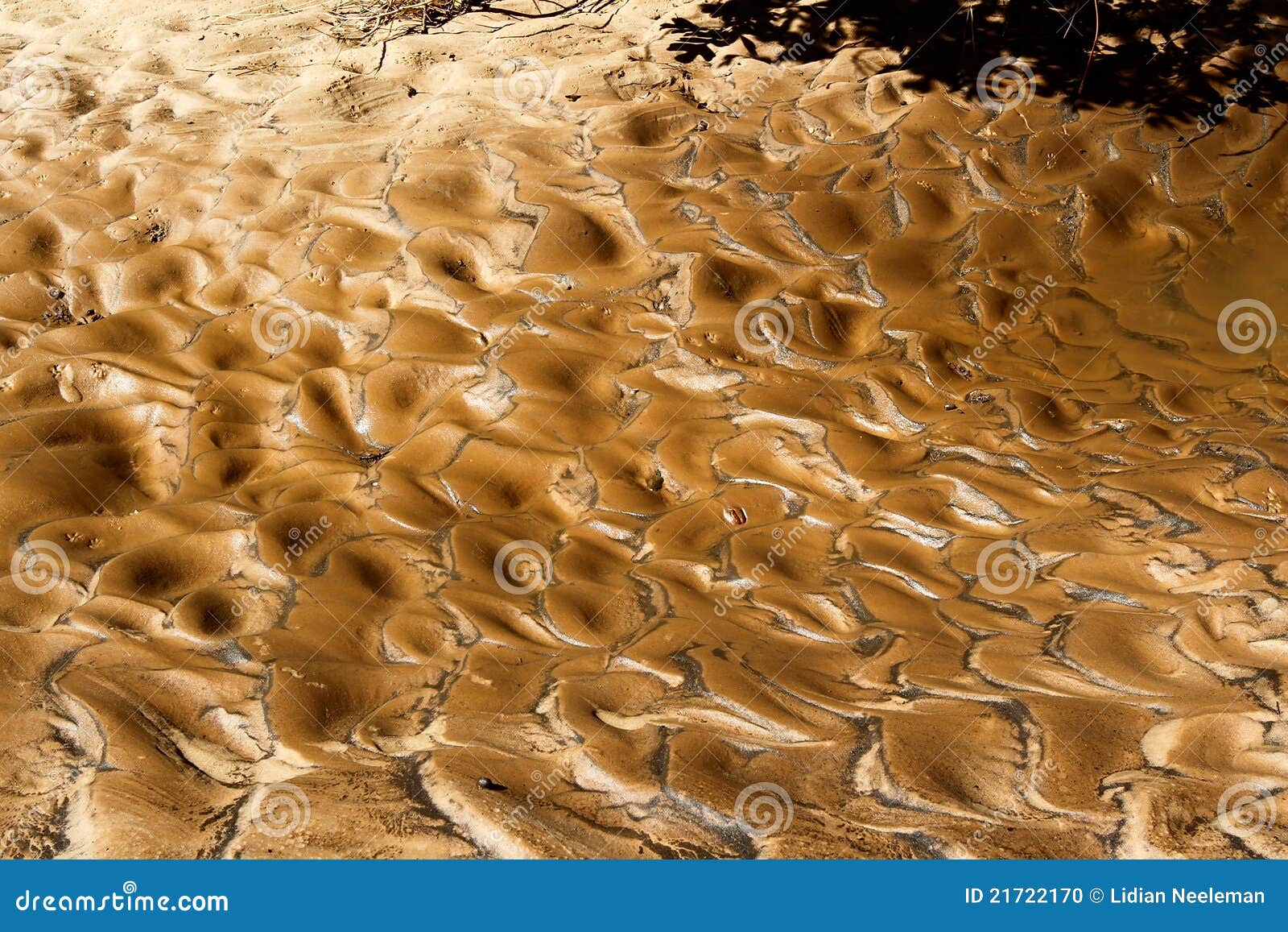 Dry Riverbed - Nature Background Stock Photo - Image of dirt, sunlight ...