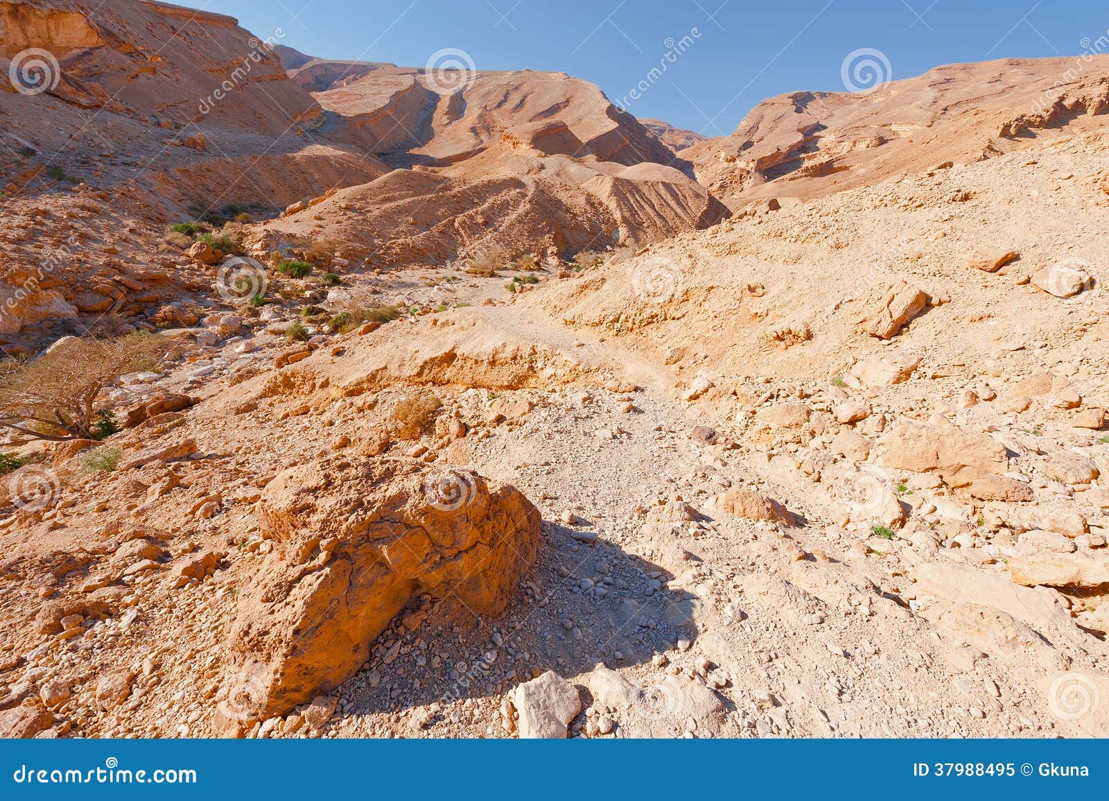 Dry Riverbed stock image. Image of road, palestine, blue - 37988495
