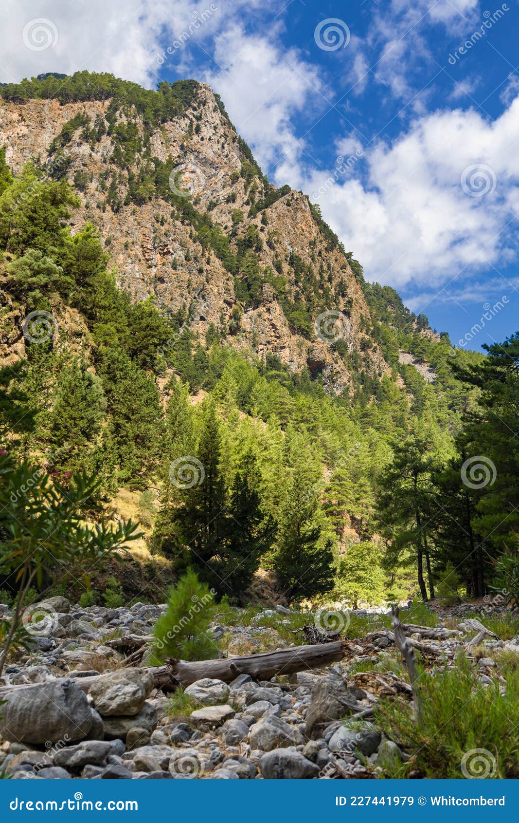Dry Riverbed And Towering Cliffs In A Huge Natural Gorge Samaria Gorge ...