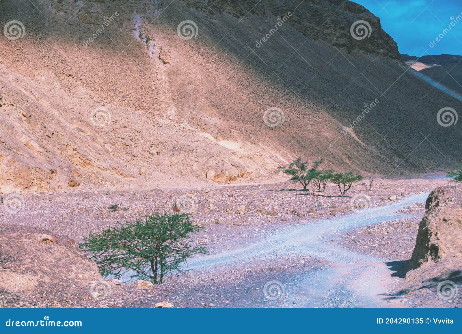 Dry Riverbed. Desert Nature Landscape Stock Image - Image of desert ...