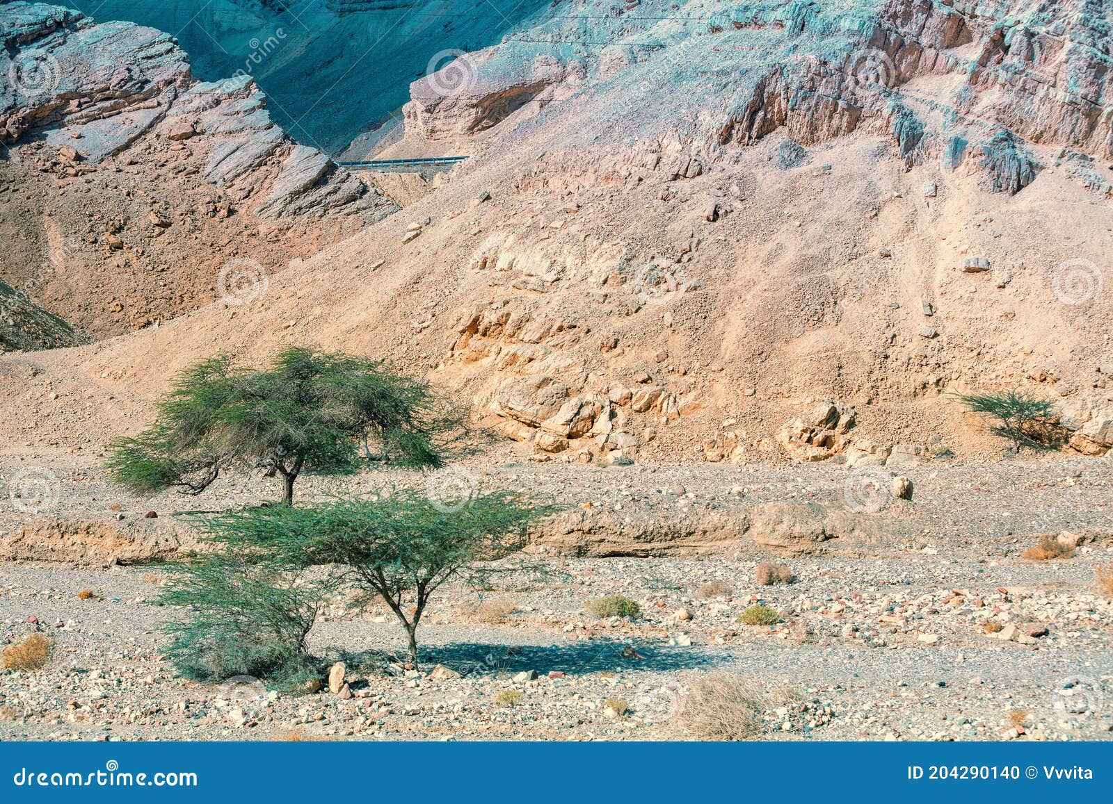 Dry Riverbed. Desert Nature Landscape Stock Photo - Image of nature ...