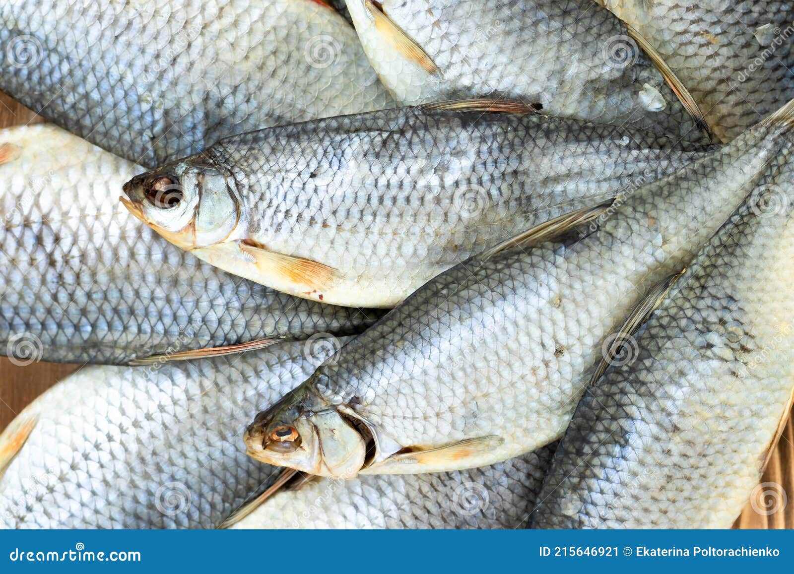 Dry Roach Fish, Top View, Lots of Pieces, Fish Background. Stock Image ...