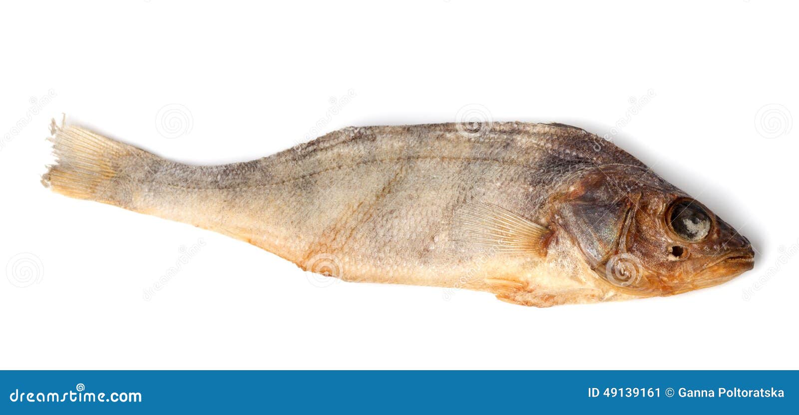 503 Taranka Fish Stock Photos - Free & Royalty-Free Stock Photos from ...