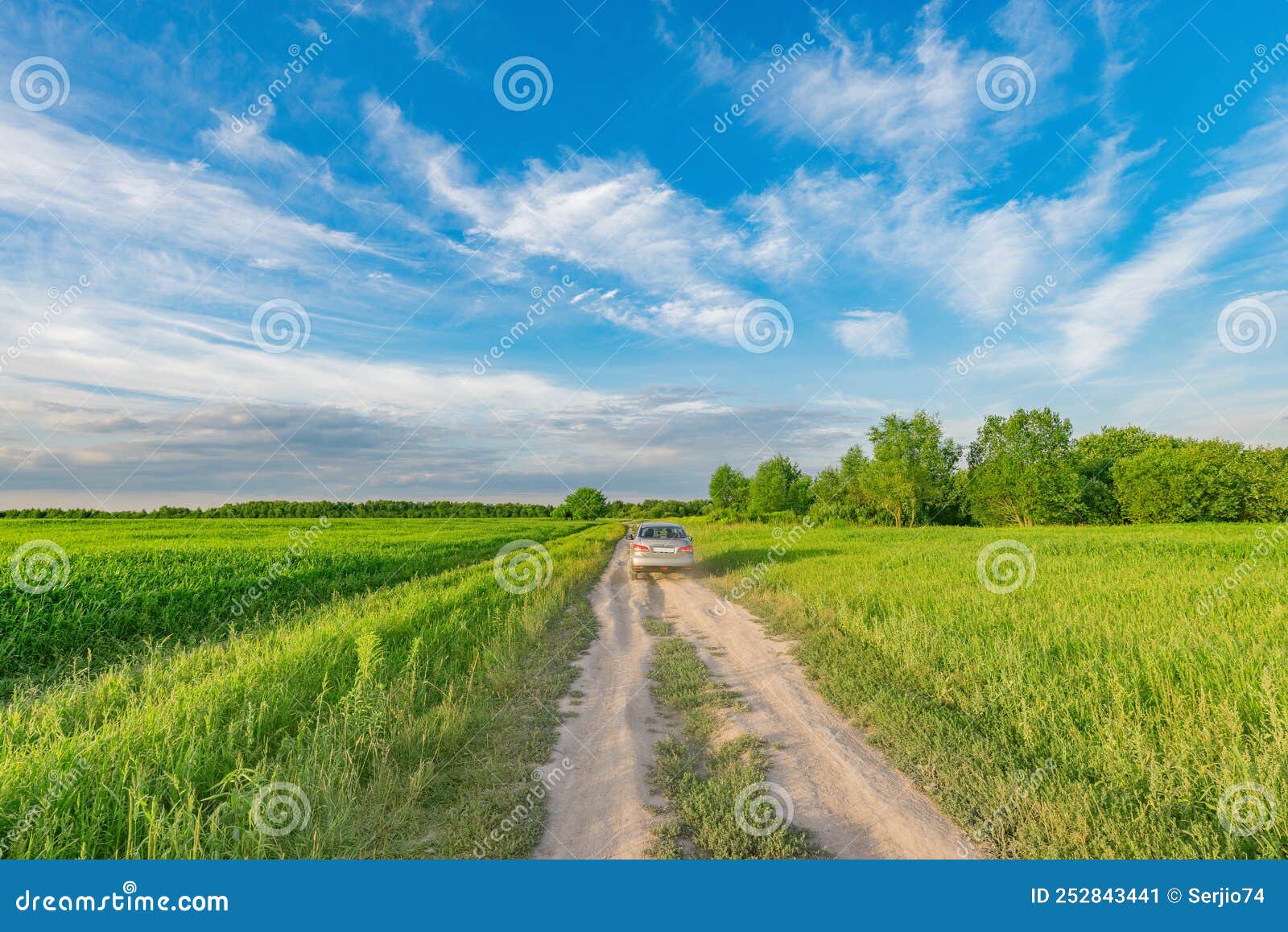 Dry road in the field. stock image. Image of meadow - 252843441