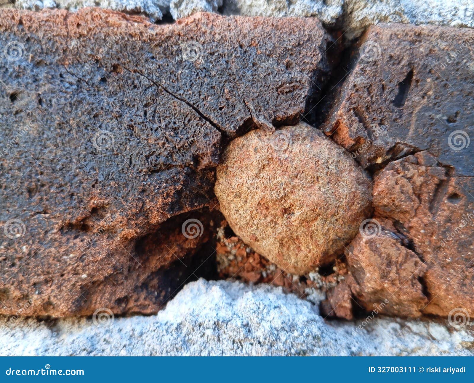 Dry Rock Trapped between Dry Soil and Blush for a Long Time Stock Image ...