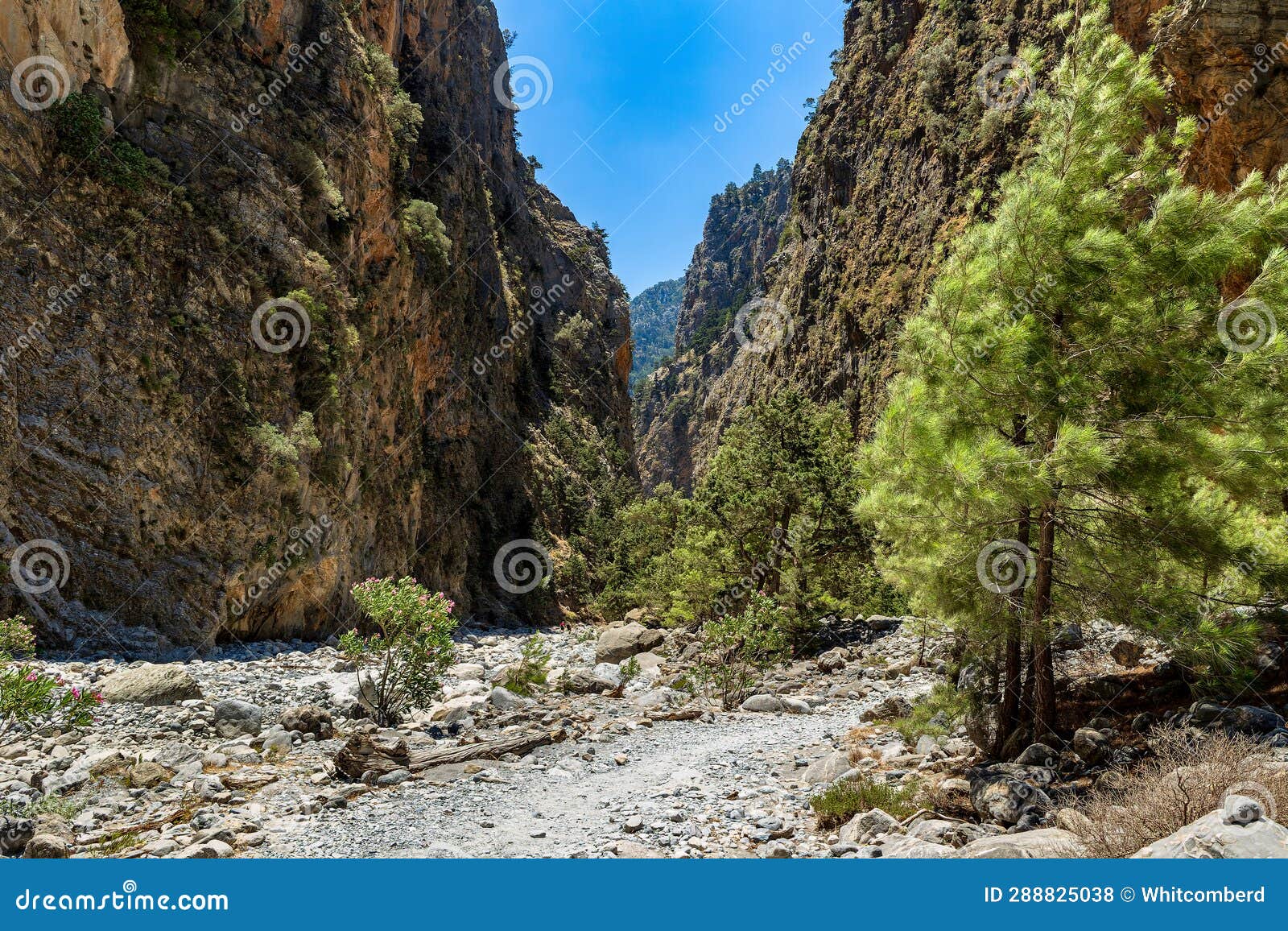 A Dry, Rocky River Bed at the Bottom of a Deep Gorge in the Middle of a ...