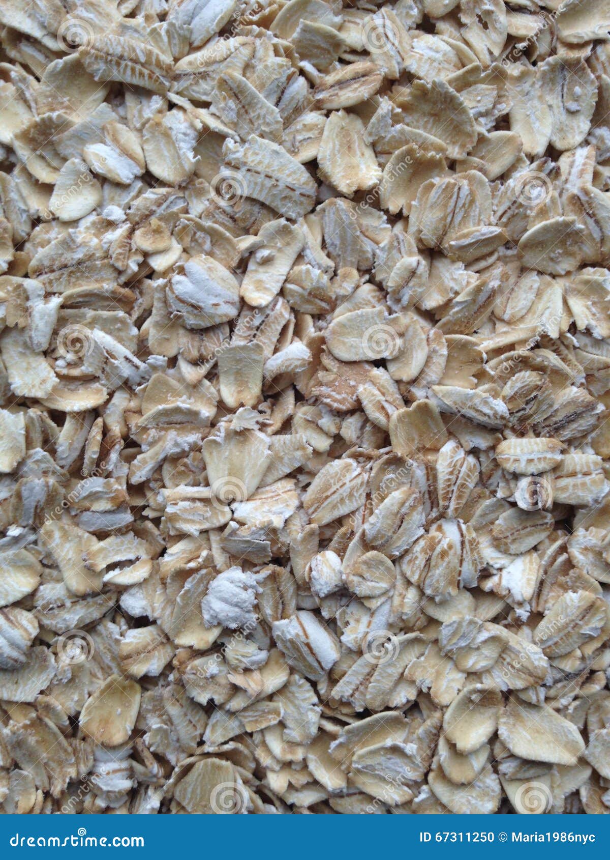 Dry Rolled Avena Sativa (Oats). Stock Photo - Image of sativa, oats ...