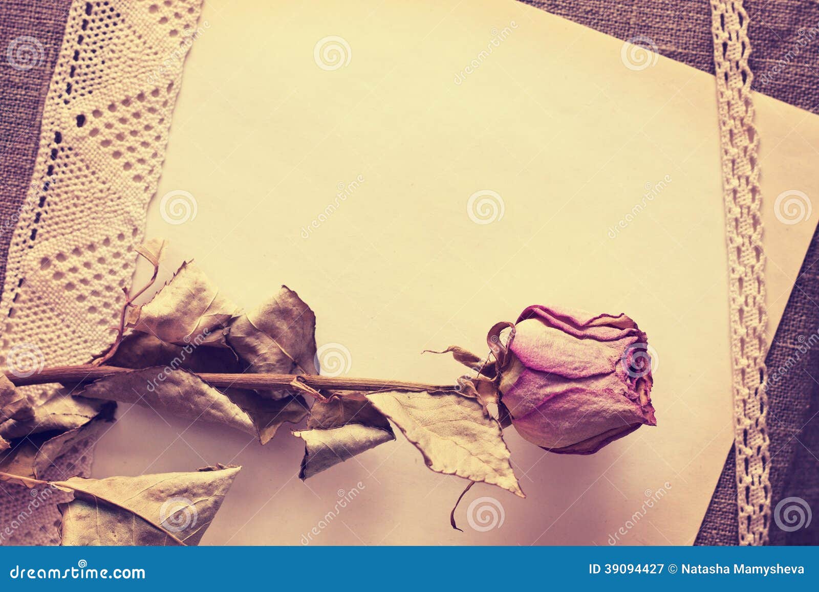 Dry rose on old paper stock image. Image of romance, scrap - 39094427