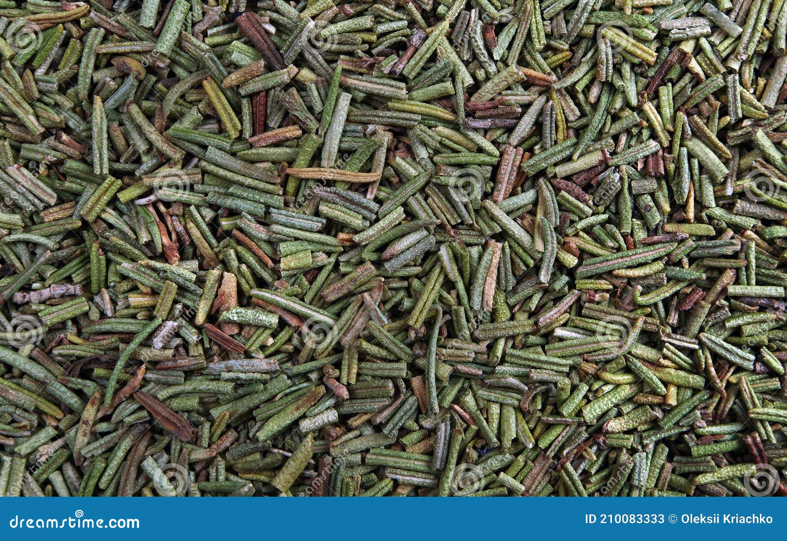 Dry Rosemary Texture Background. Stock Image - Image of leaves ...