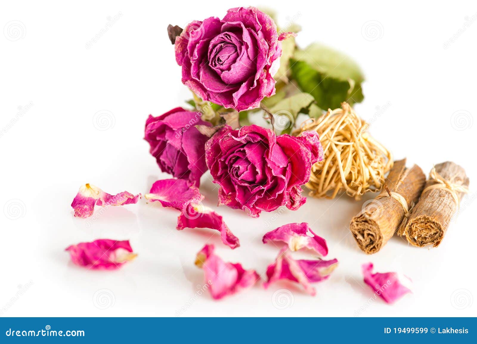 Dry roses and herbs stock image. Image of horizontal - 19499599