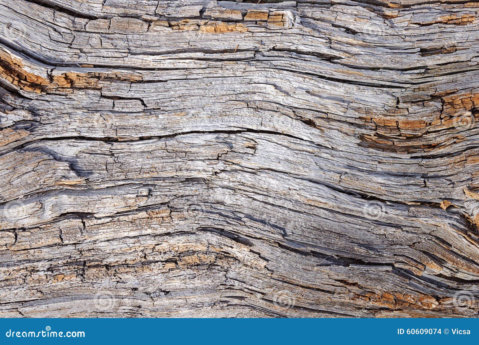 Rotted Wood Background Stock Photos - 222 Images