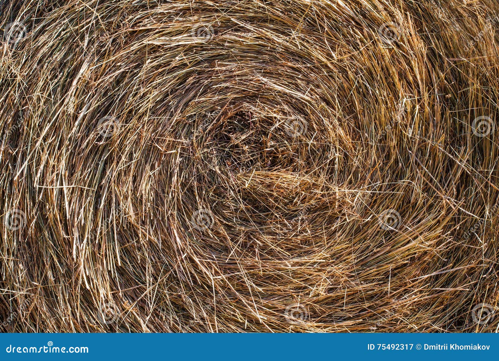 Dry Round Hay Stack Natural Background, Close Up Stock Image - Image of ...