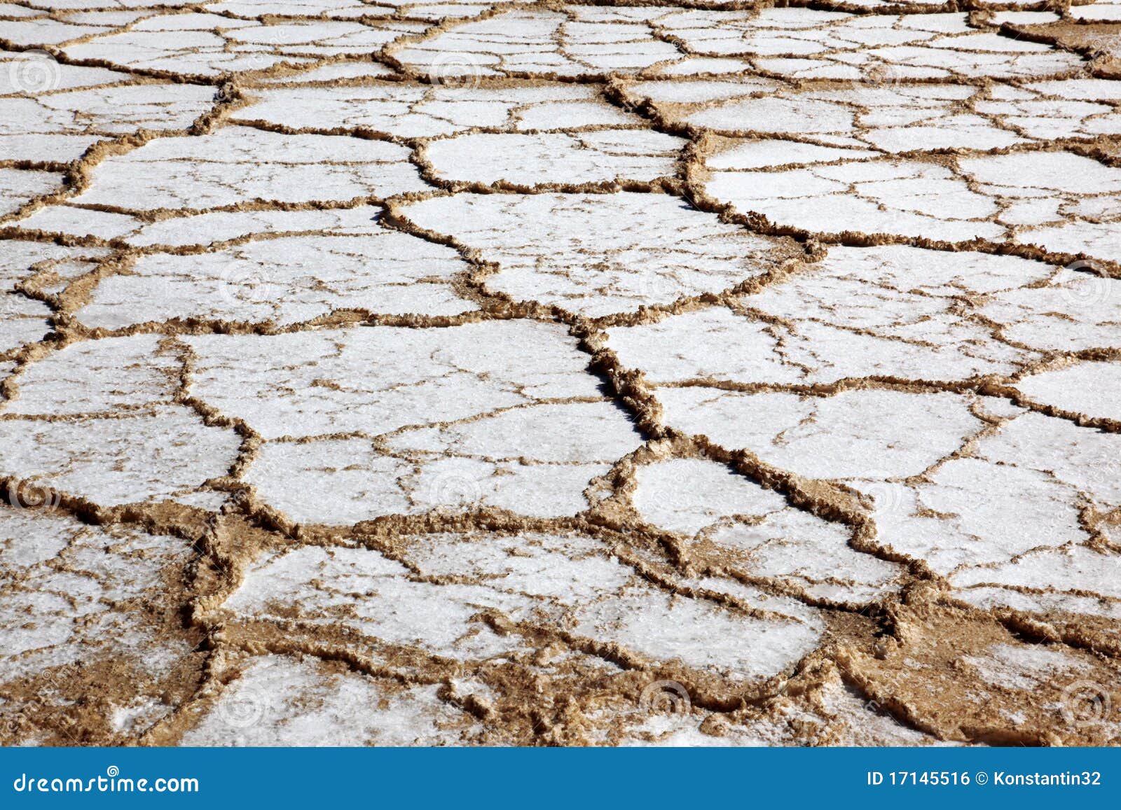 Dry salt field in Dead Sea stock photo. Image of abstract - 17145516
