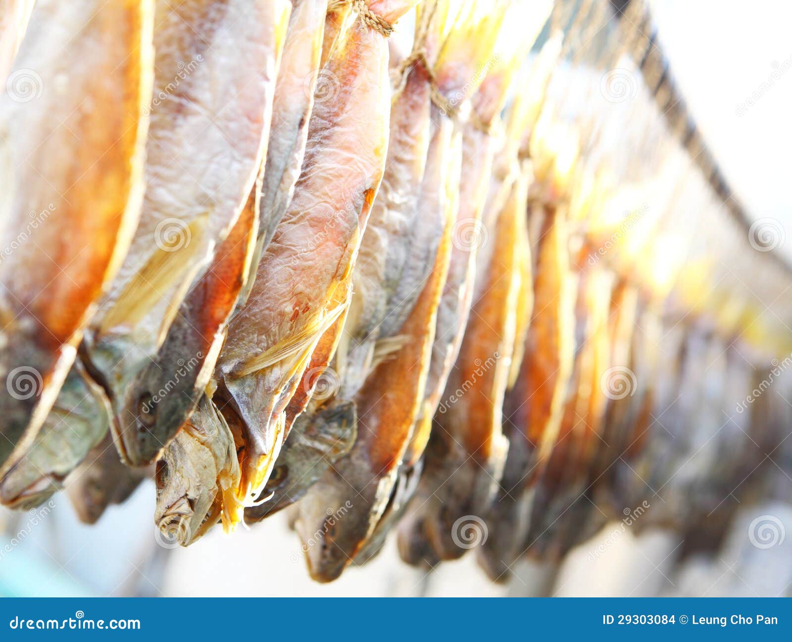 Dry salt fish stock photo. Image of animal, green, healthy - 29303084