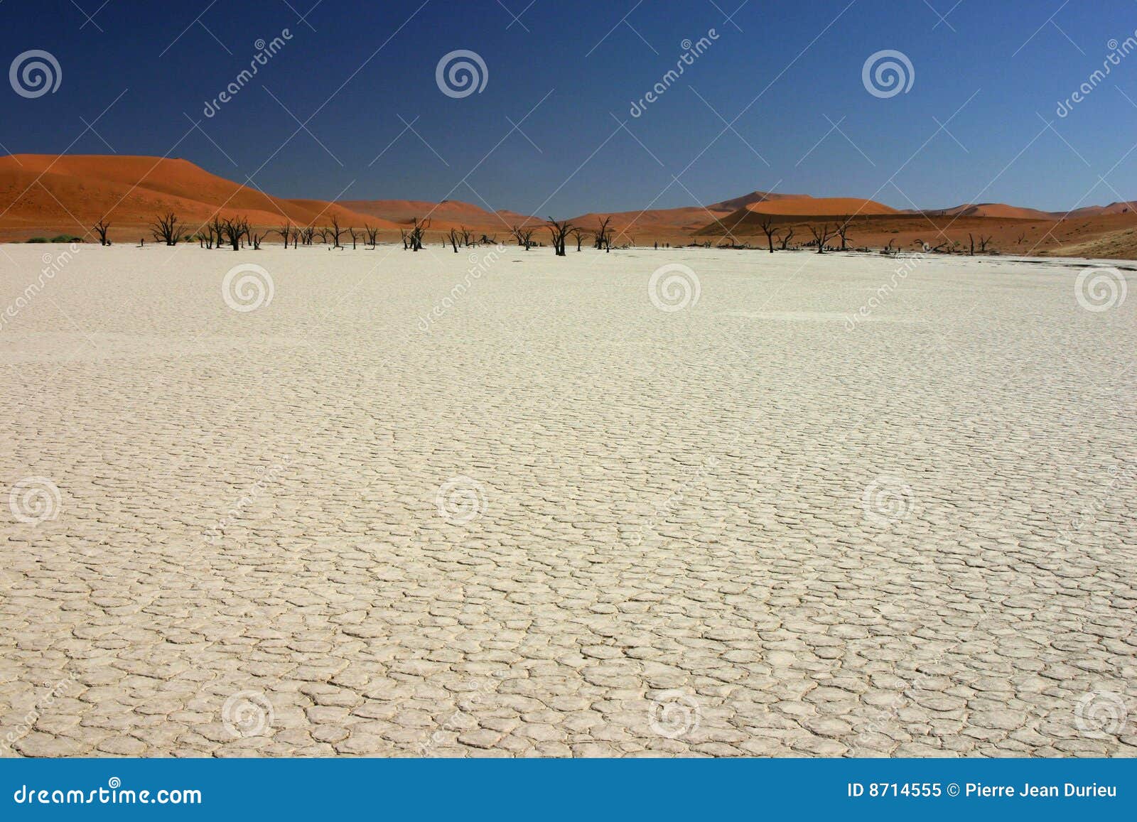 Dry salt lake stock image. Image of sossusvlei, salt, namibia - 8714555