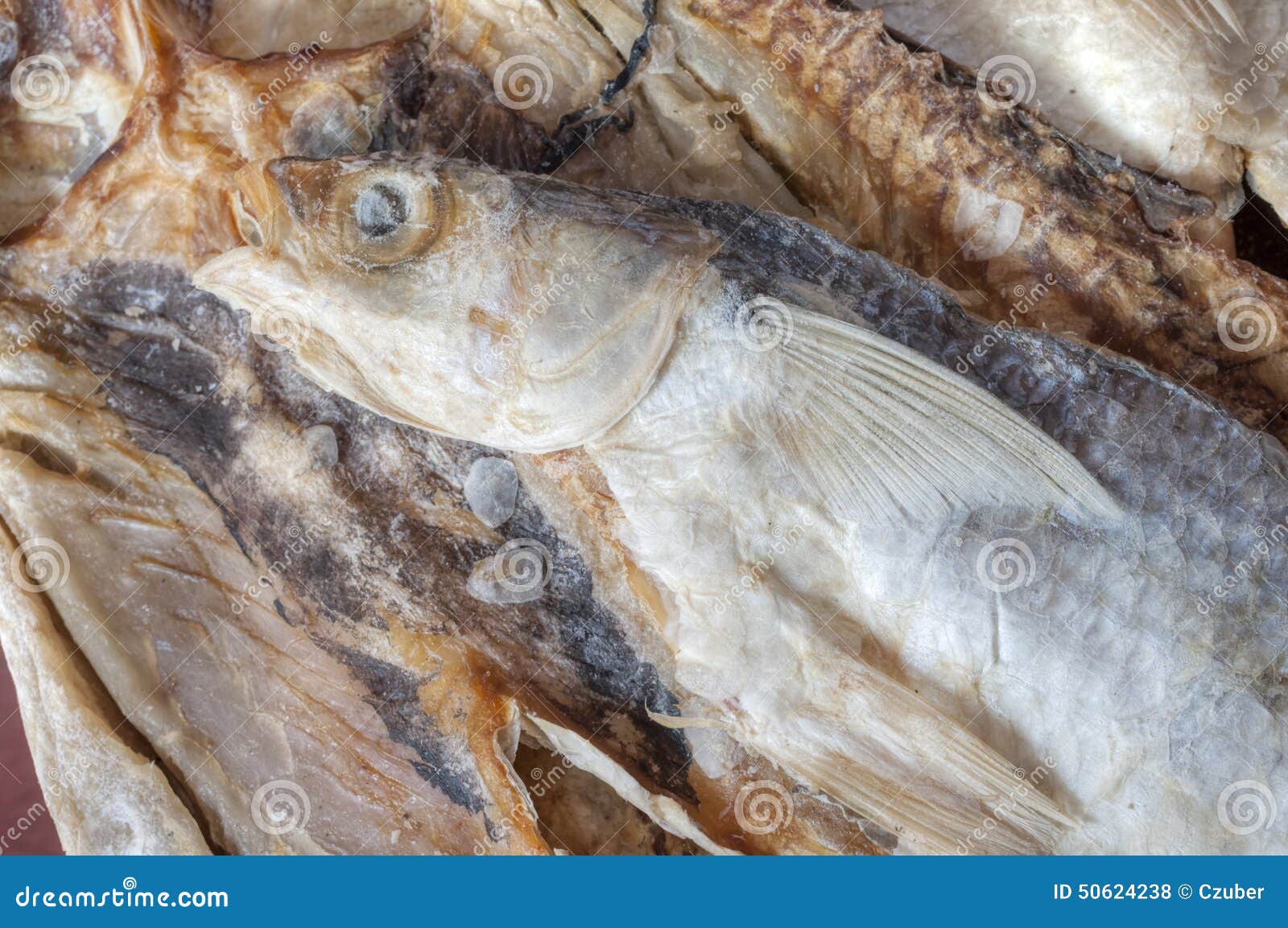 Dry salted mullet stock photo. Image of slit, fish, horizontal - 50624238