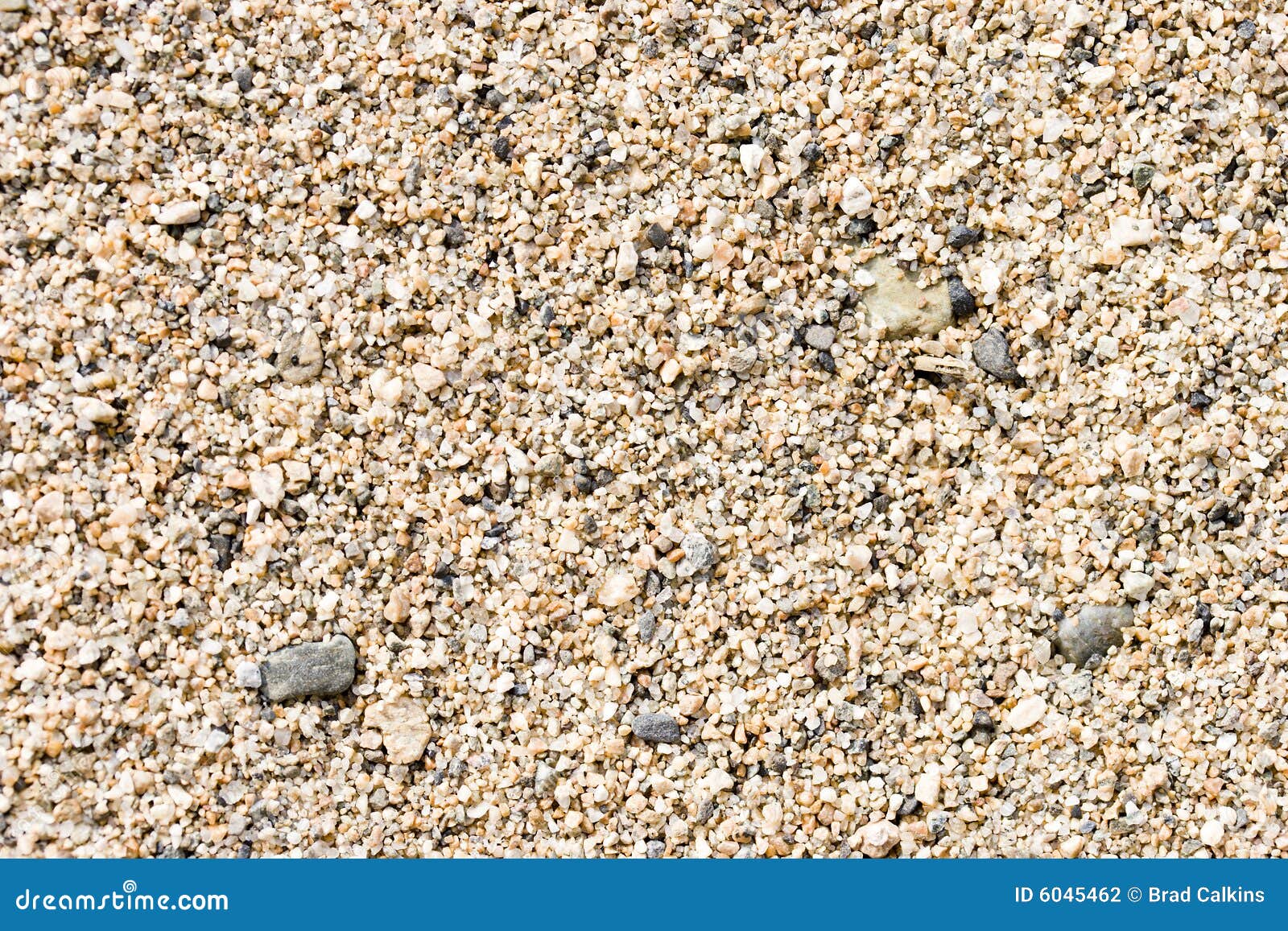 Dry sand stock photo. Image of black, sandy, shore, beach - 6045462