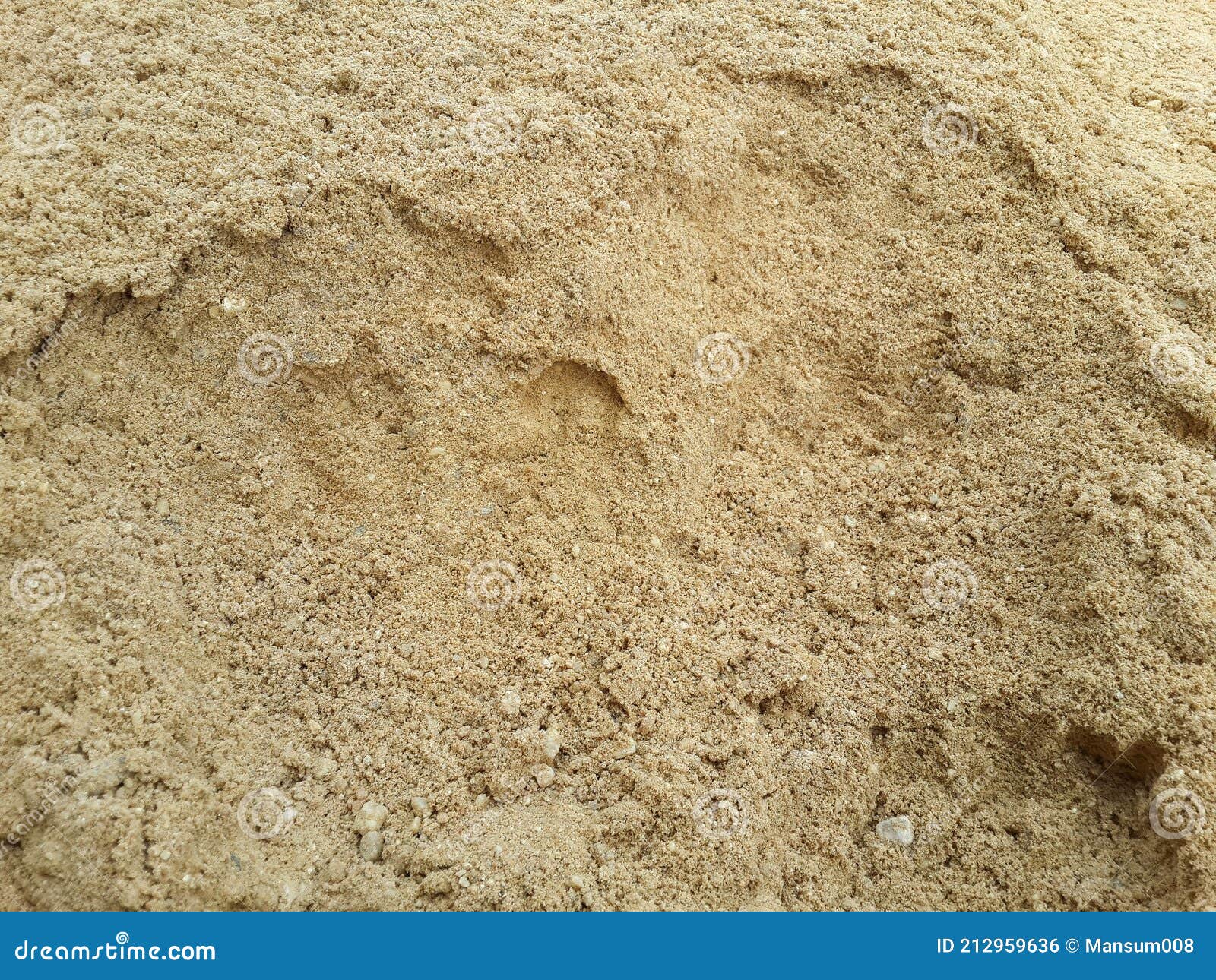 Dry sand texture stock photo. Image of nature, desert - 212959636