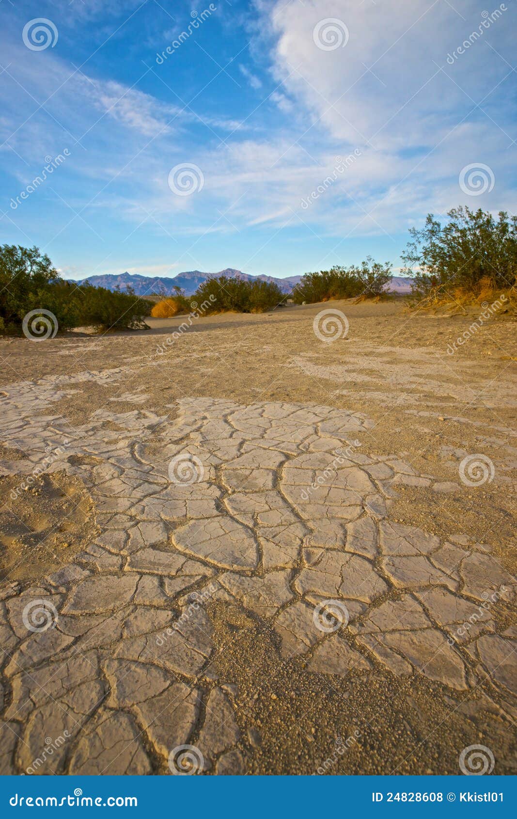 Dry Sandy Ground stock photo. Image of greenery, arid - 24828608