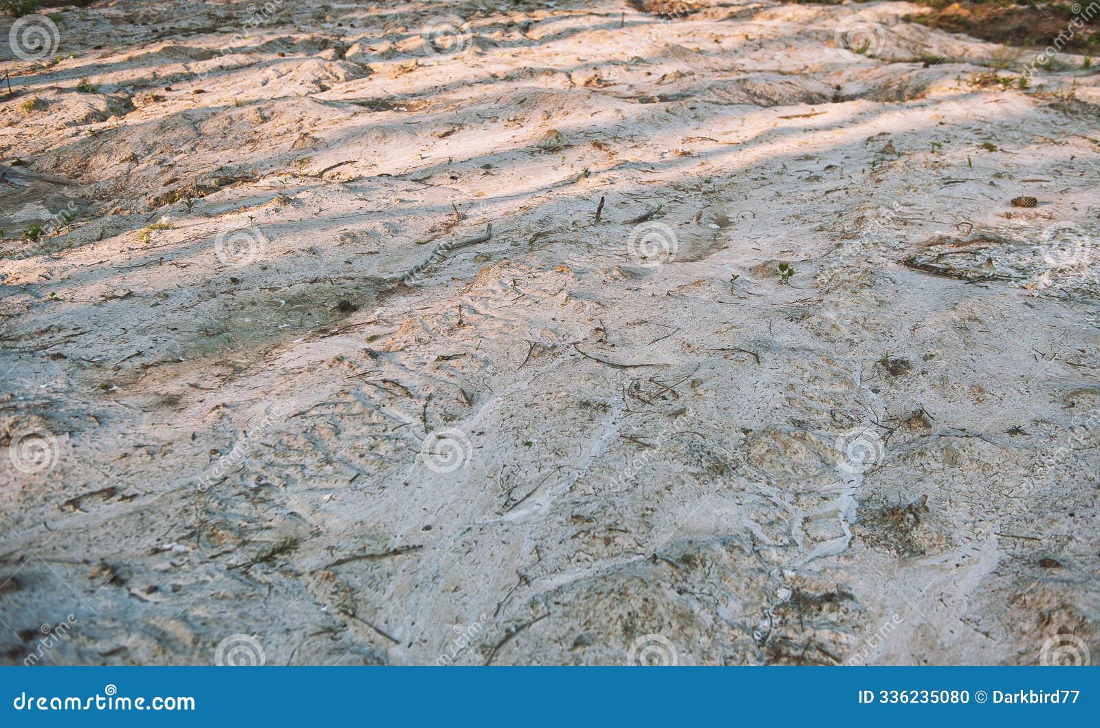 Dry, Sandy Ground with Rough Texture and Organic Patterns Stock Photo ...