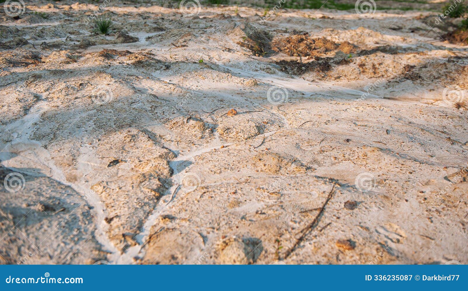 Dry, Sandy Ground with Rough Texture and Organic Patterns Stock Image ...