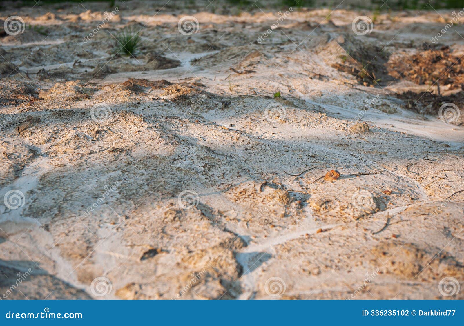 Dry, Sandy Ground with Rough Texture and Organic Patterns Stock Photo ...