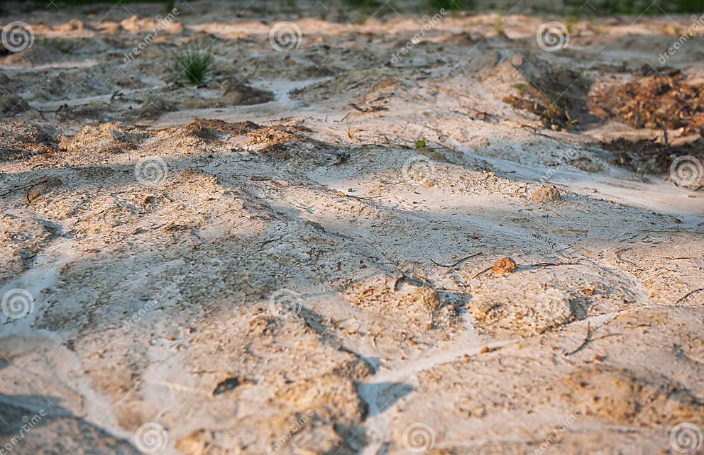 Dry, Sandy Ground with Rough Texture and Organic Patterns Stock Photo ...