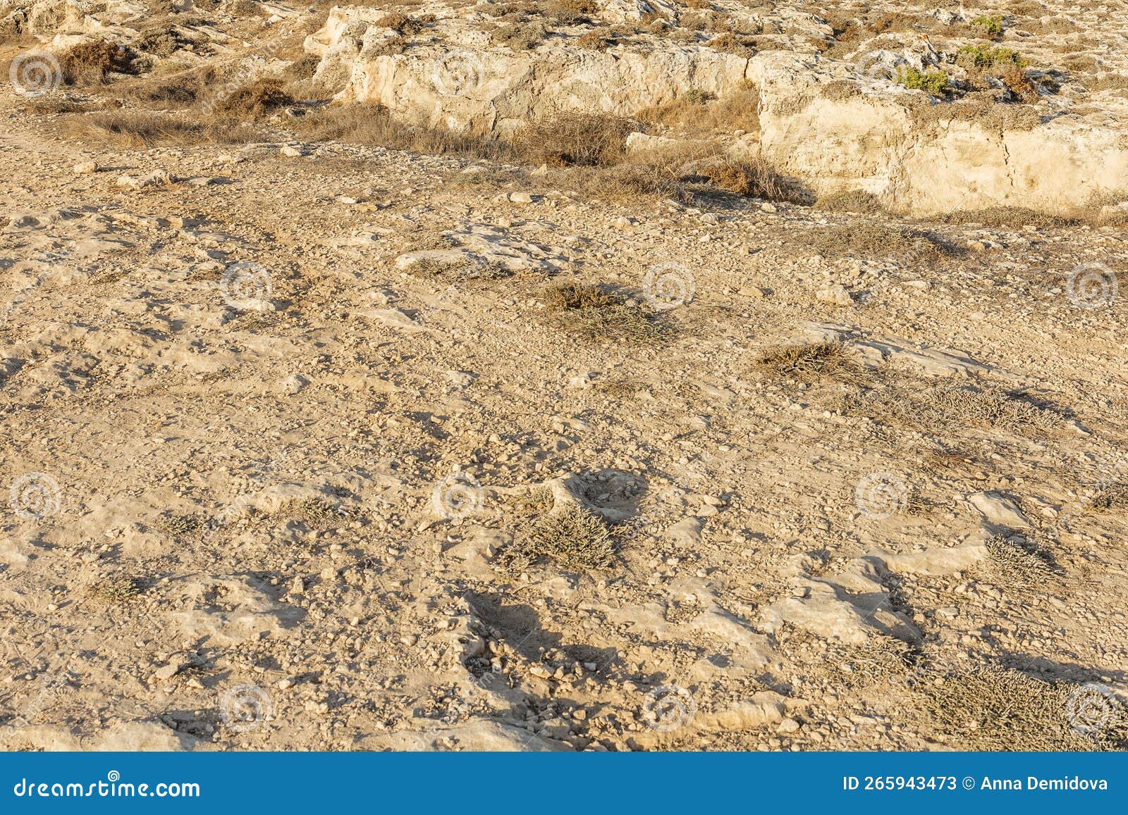 Dry Sandy Land, Road, Seashore on a Hot Day. Close-up. Space for Text ...