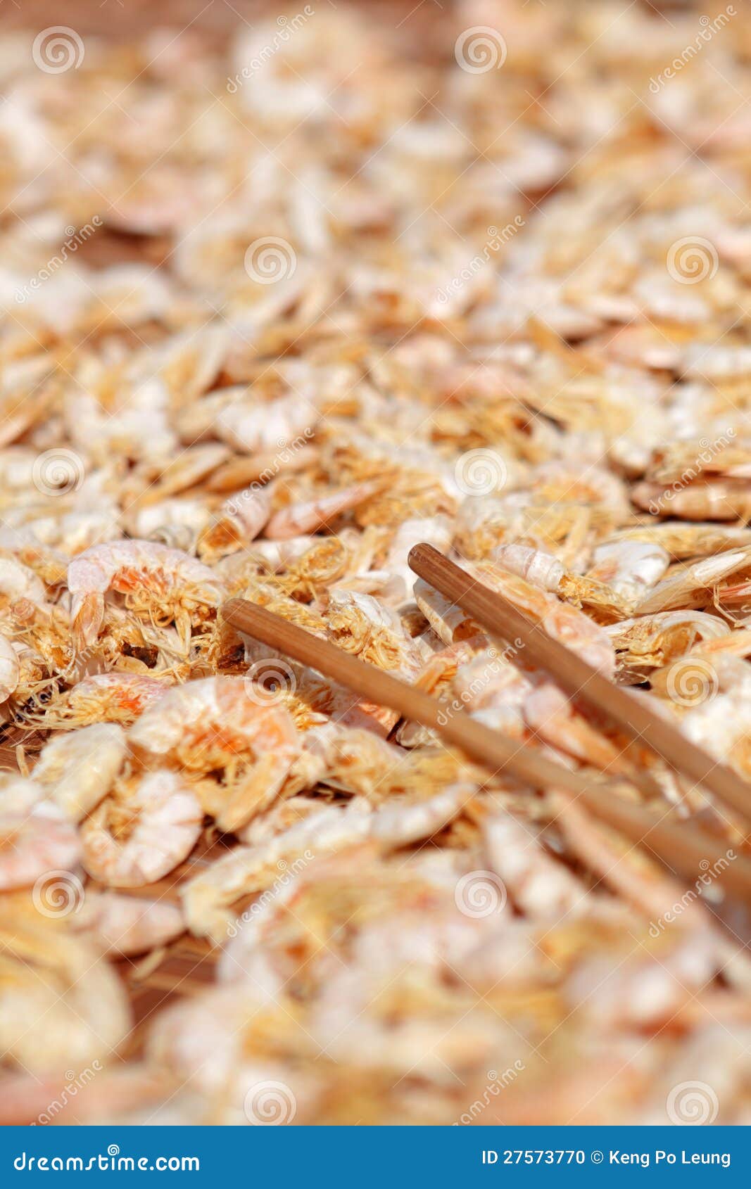 Dry seafood. stock photo. Image of fish, nutrition, healthy - 27573770
