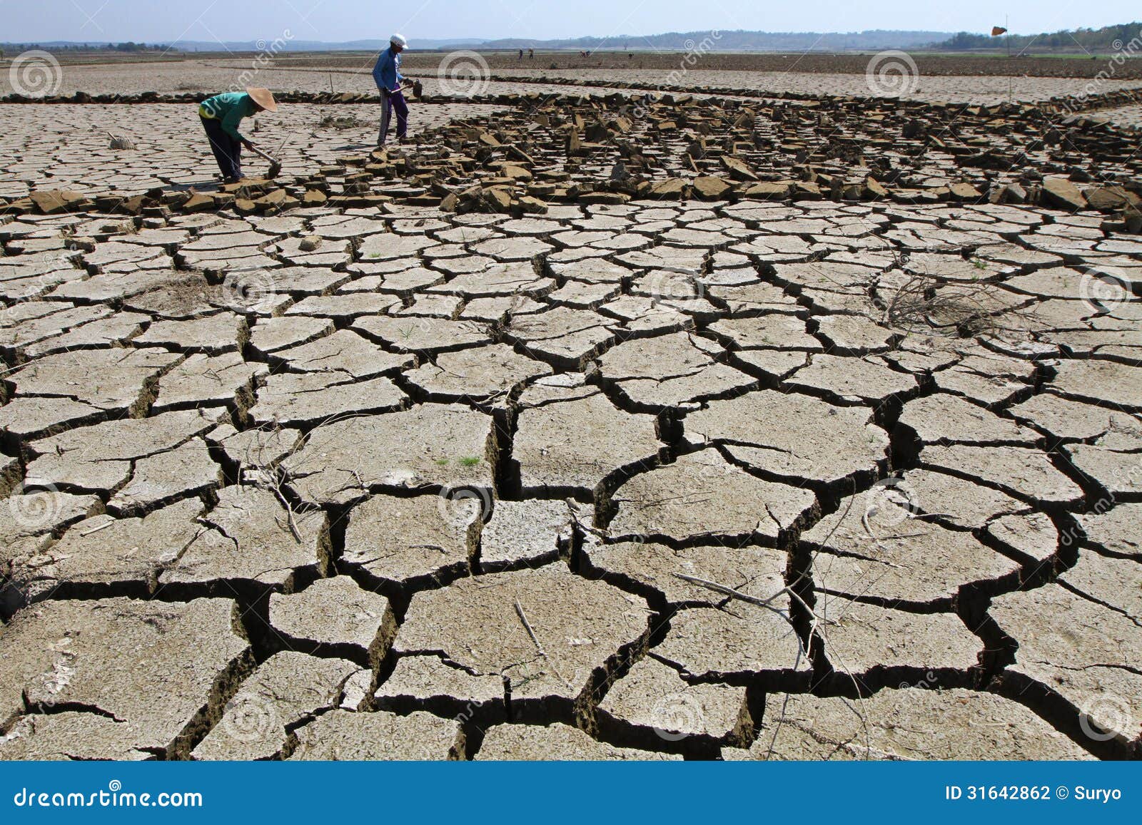 Dry season editorial photography. Image of java, boyolali - 31642862