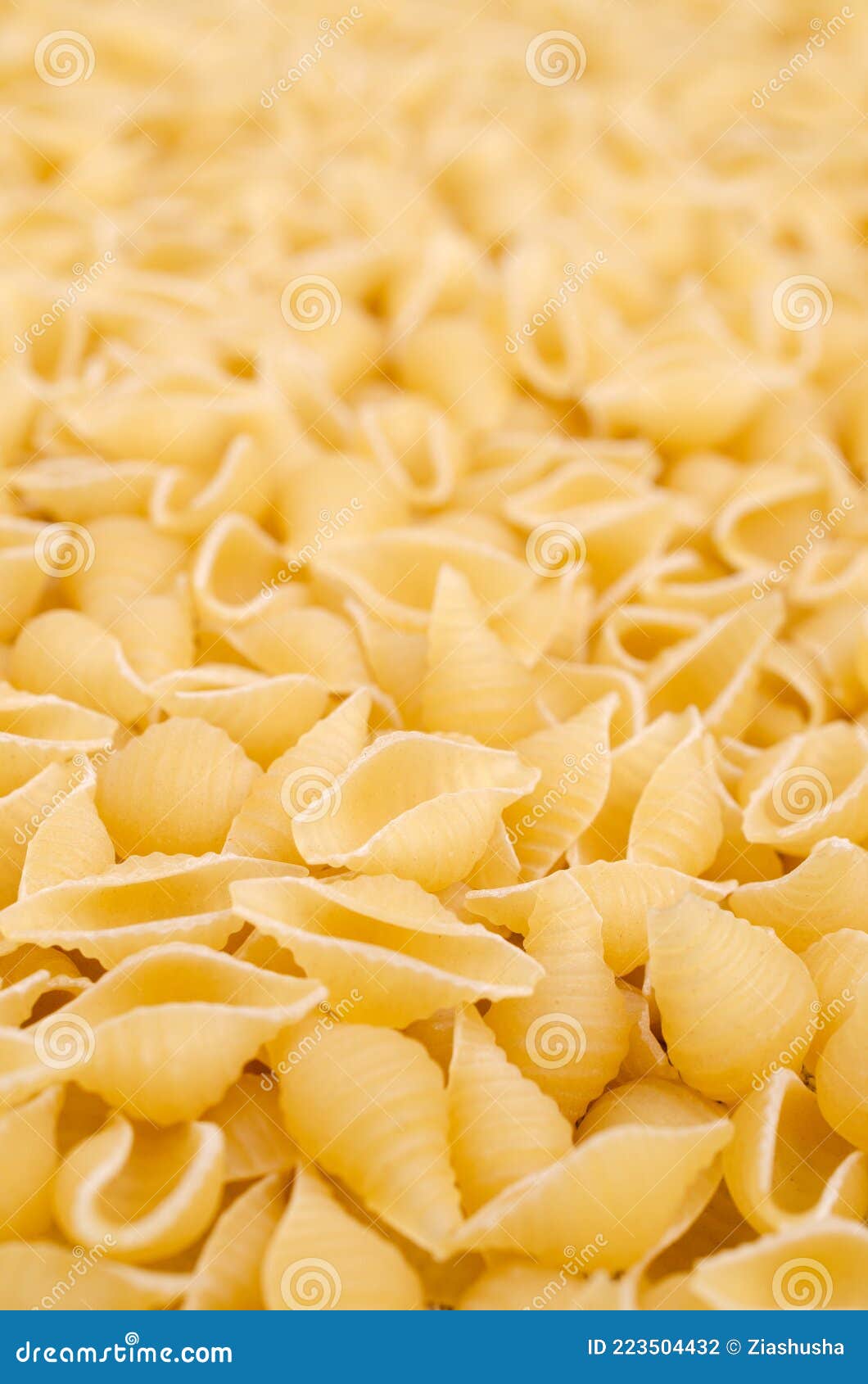 Dry shell pasta stock photo. Image of foodstuff, food - 223504432