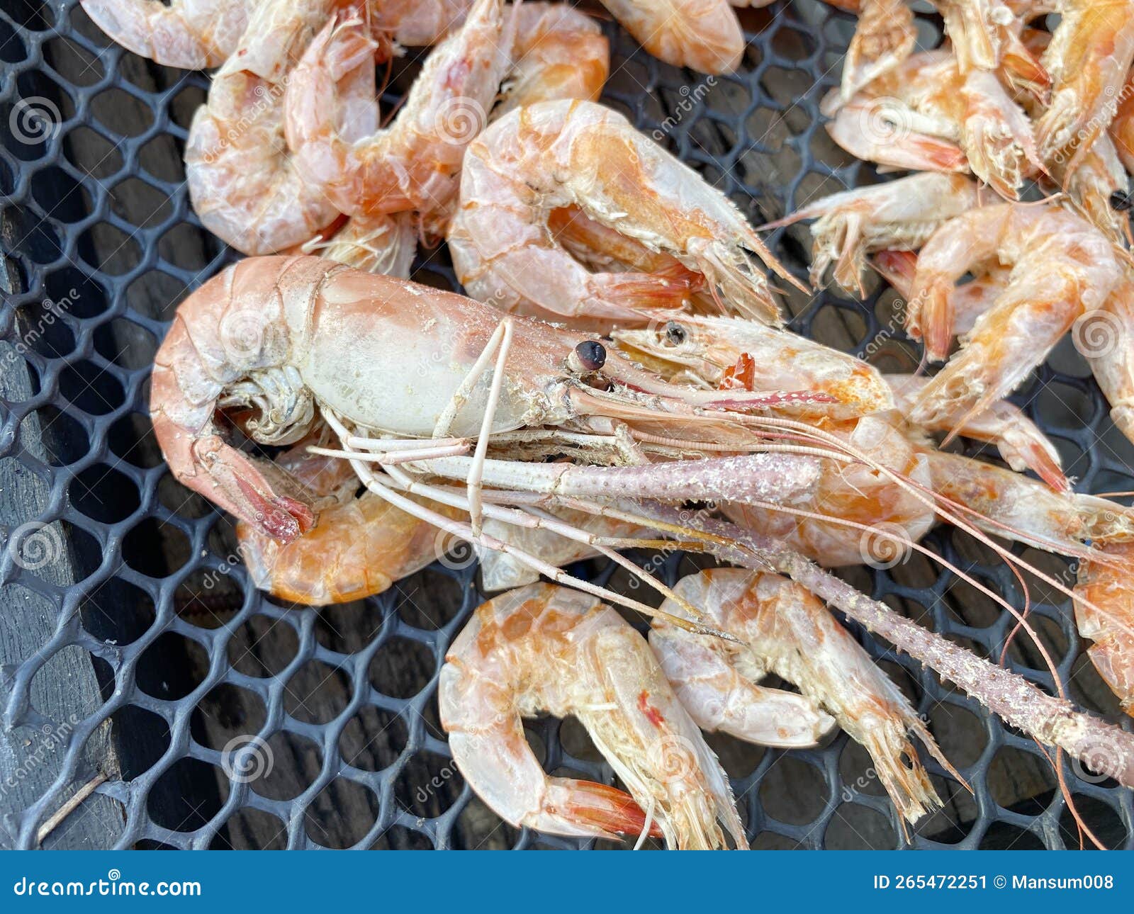 Dry shrimp on the market stock image. Image of grill - 265472251