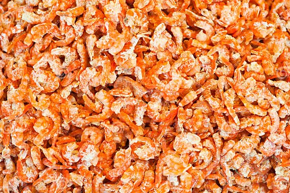 Dry shrimps stock photo. Image of healthy, asian, ethnic - 23516708