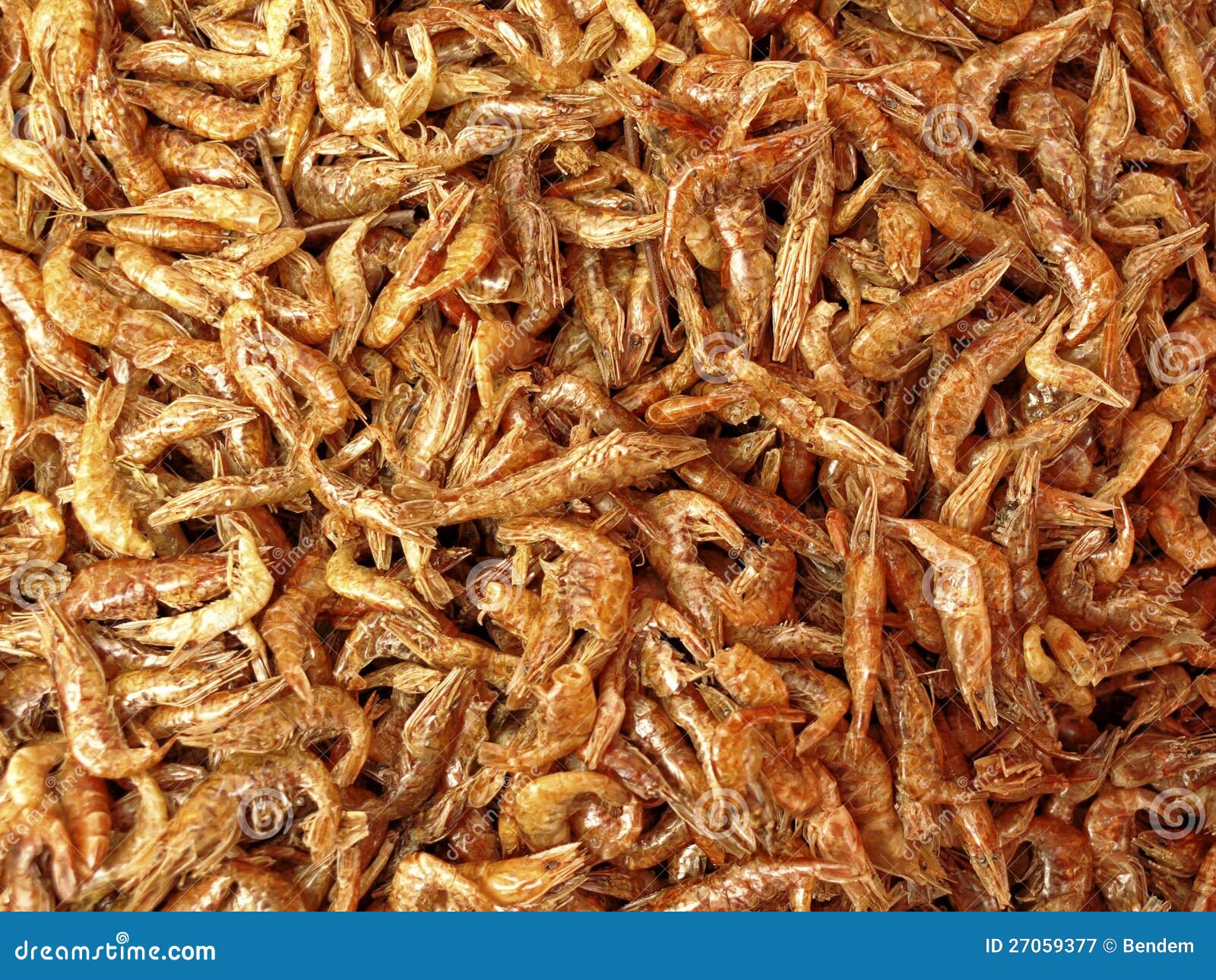 Dry shrimps stock image. Image of crustacean, cuisine - 27059377