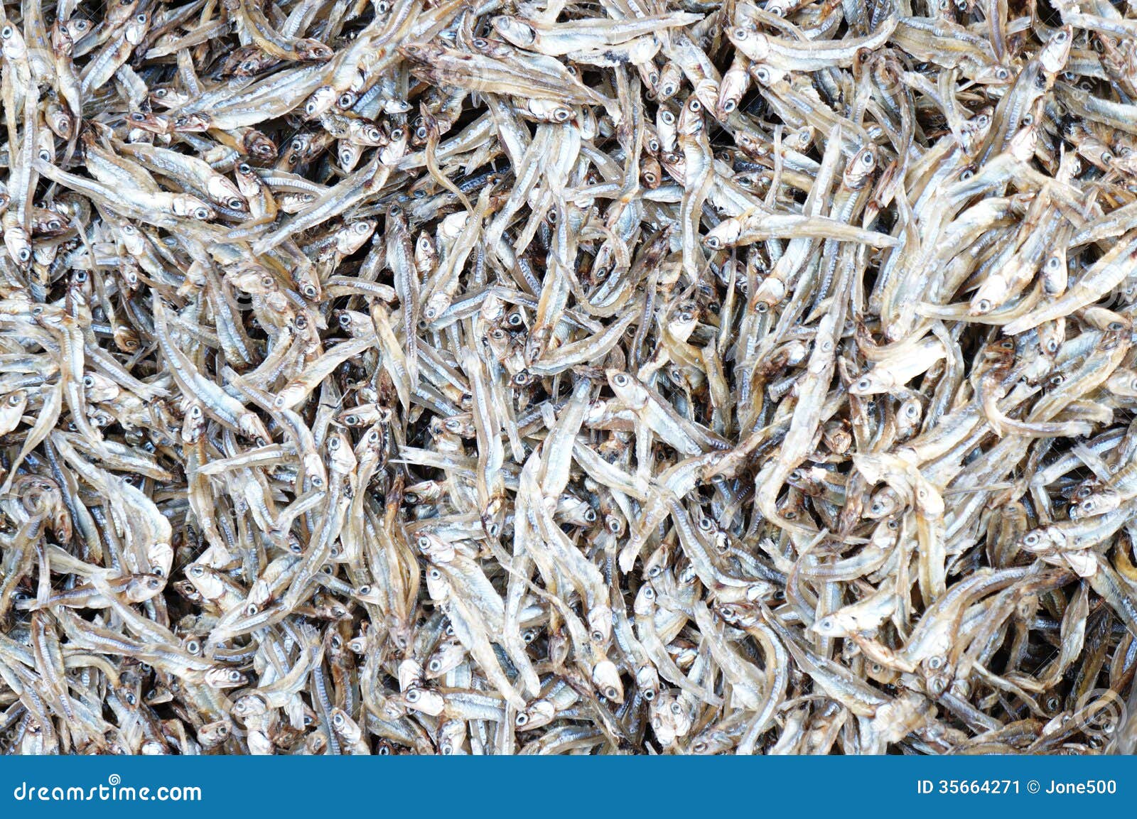 Dry small fish stock image. Image of snack, prepared - 35664271