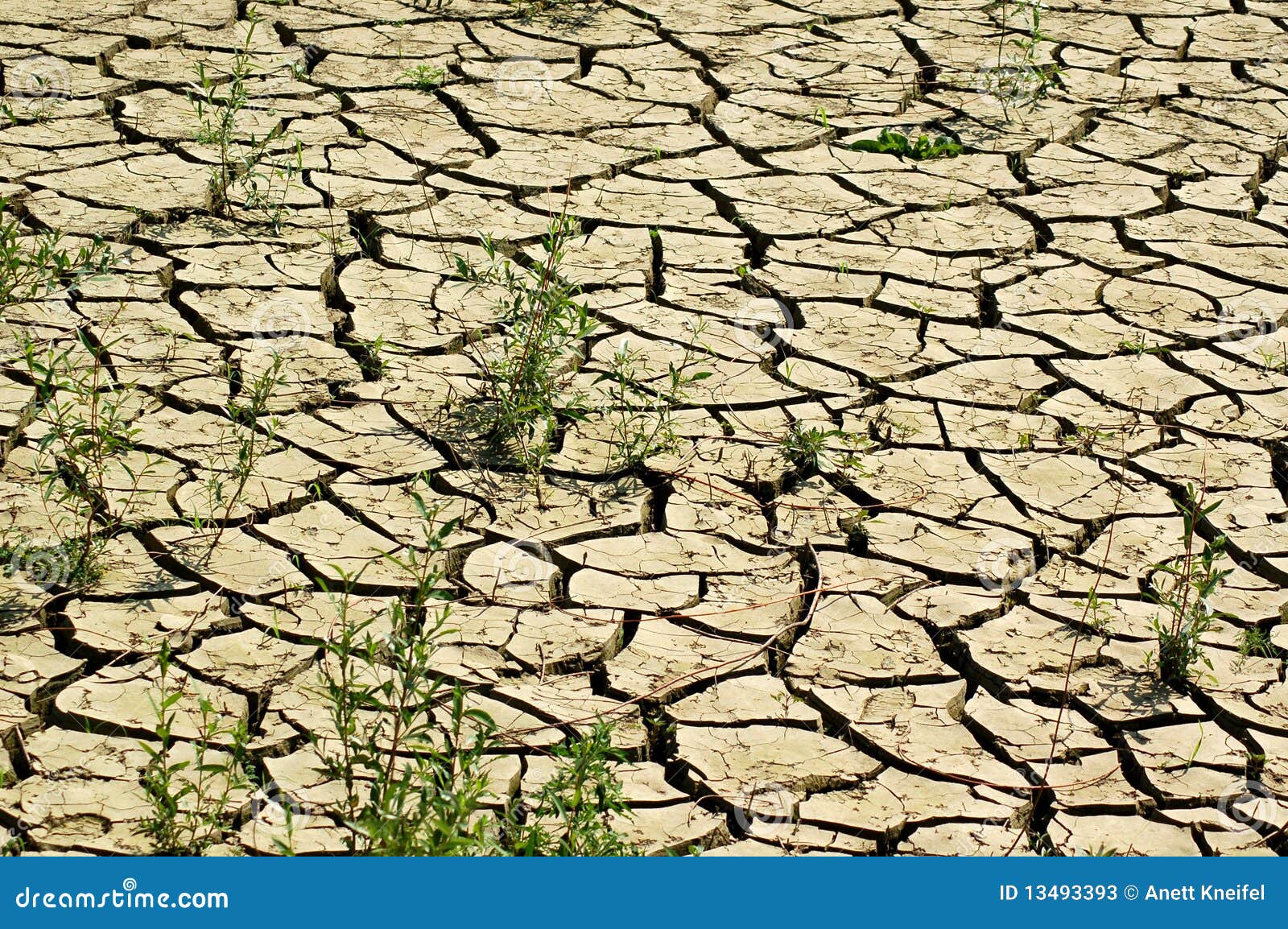 Dry soil stock image. Image of eroded, earth, climate - 13493393