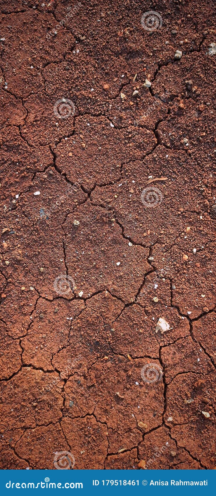 The Dry Soil stock image. Image of earth, dryness, plant - 179518461