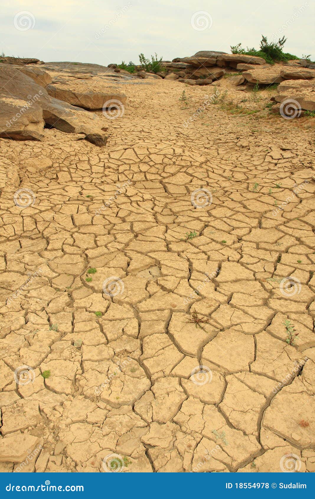 Dry soil stock photo. Image of land, crack, earth, clay - 18554978