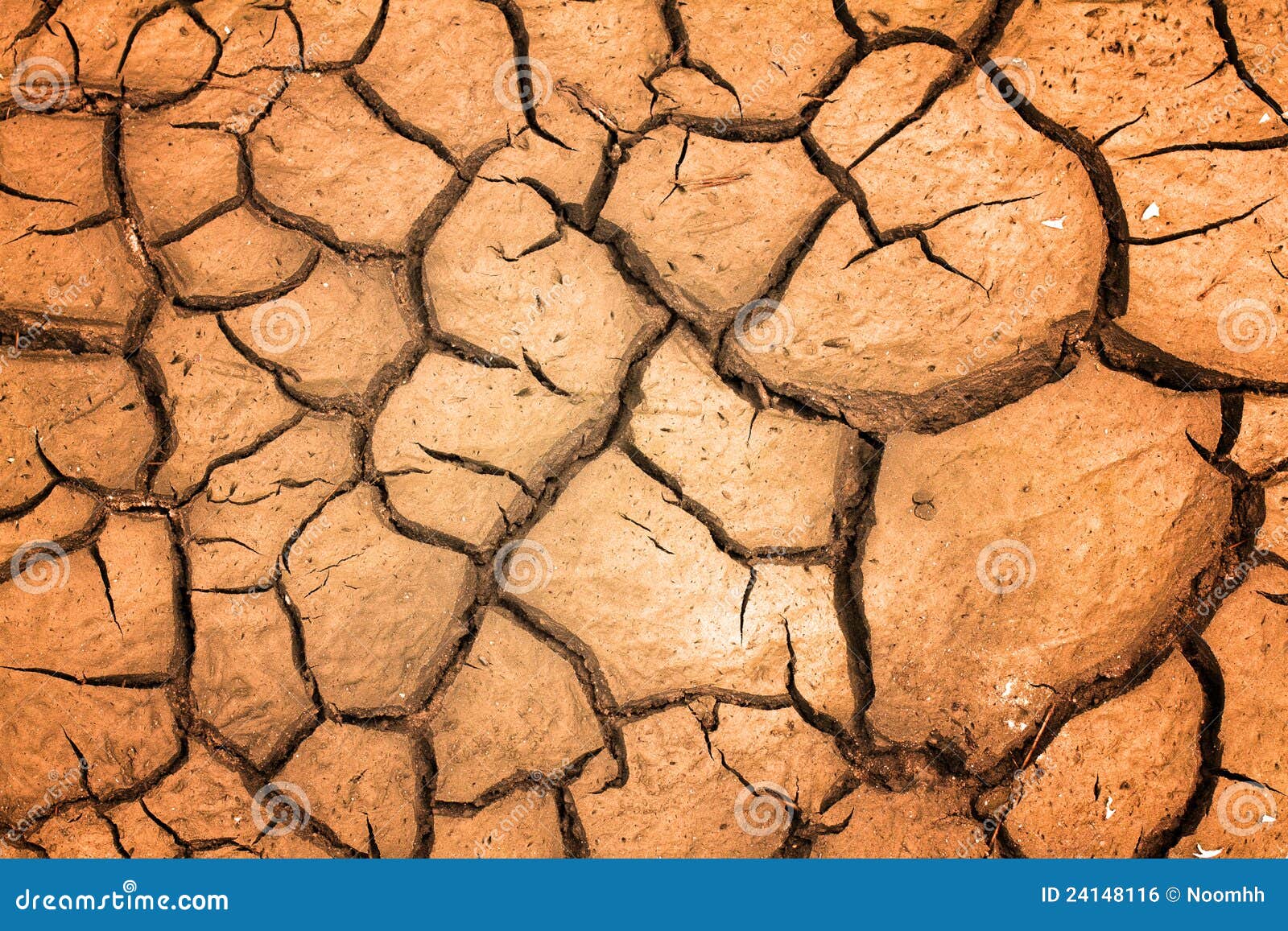 Dry soil stock photo. Image of dehydration, wild, textured - 24148116