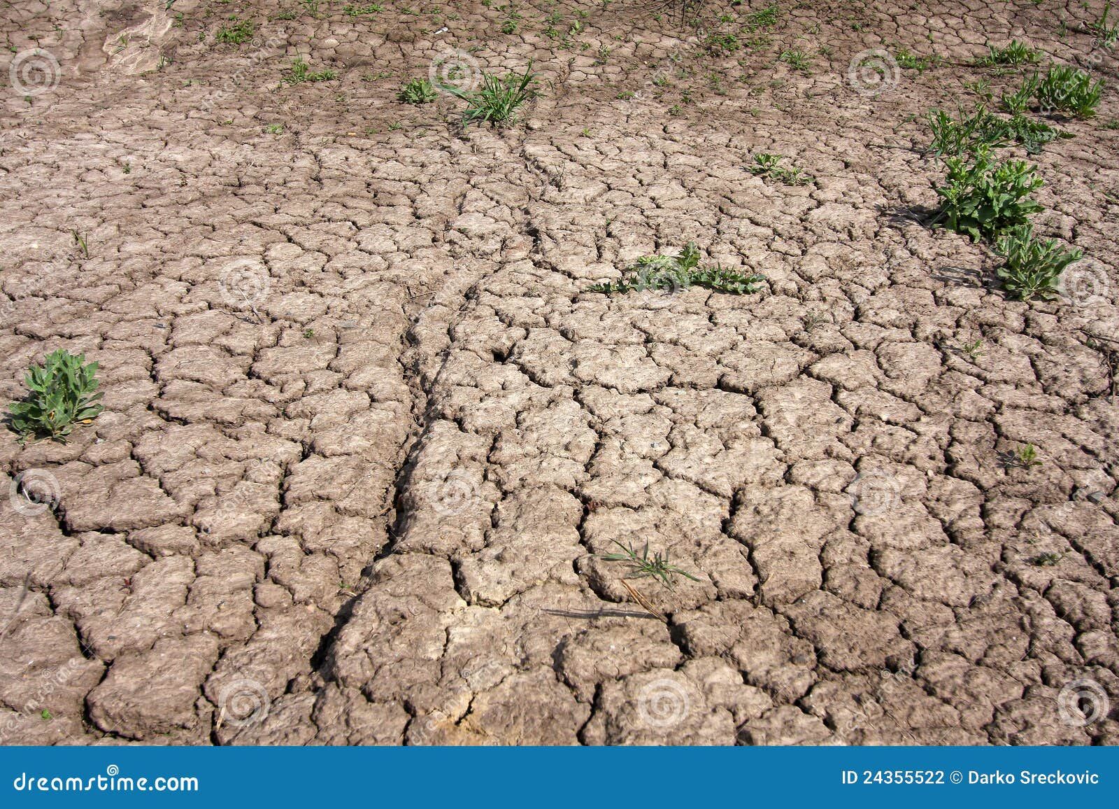Dry soil stock photo. Image of background, plants, change - 24355522